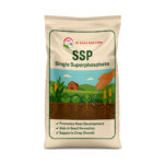 Single Super Phosphate (SSP) – Sri Balaji Agrichem